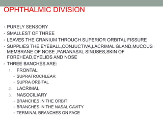 Trigeminal nerve | PPTX
