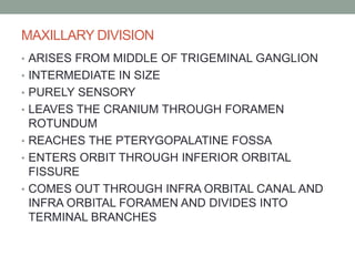 Trigeminal nerve | PPT