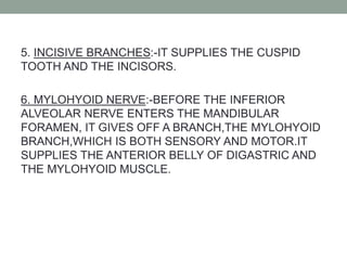 Trigeminal nerve | PPT