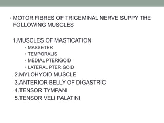Trigeminal nerve | PPT