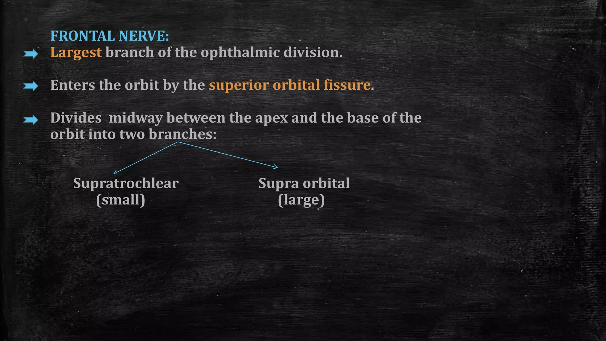 Trigeminal nerve | PPT