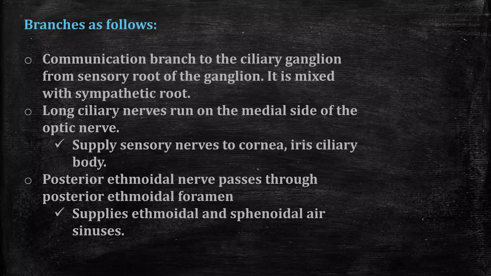 Trigeminal nerve | PPT