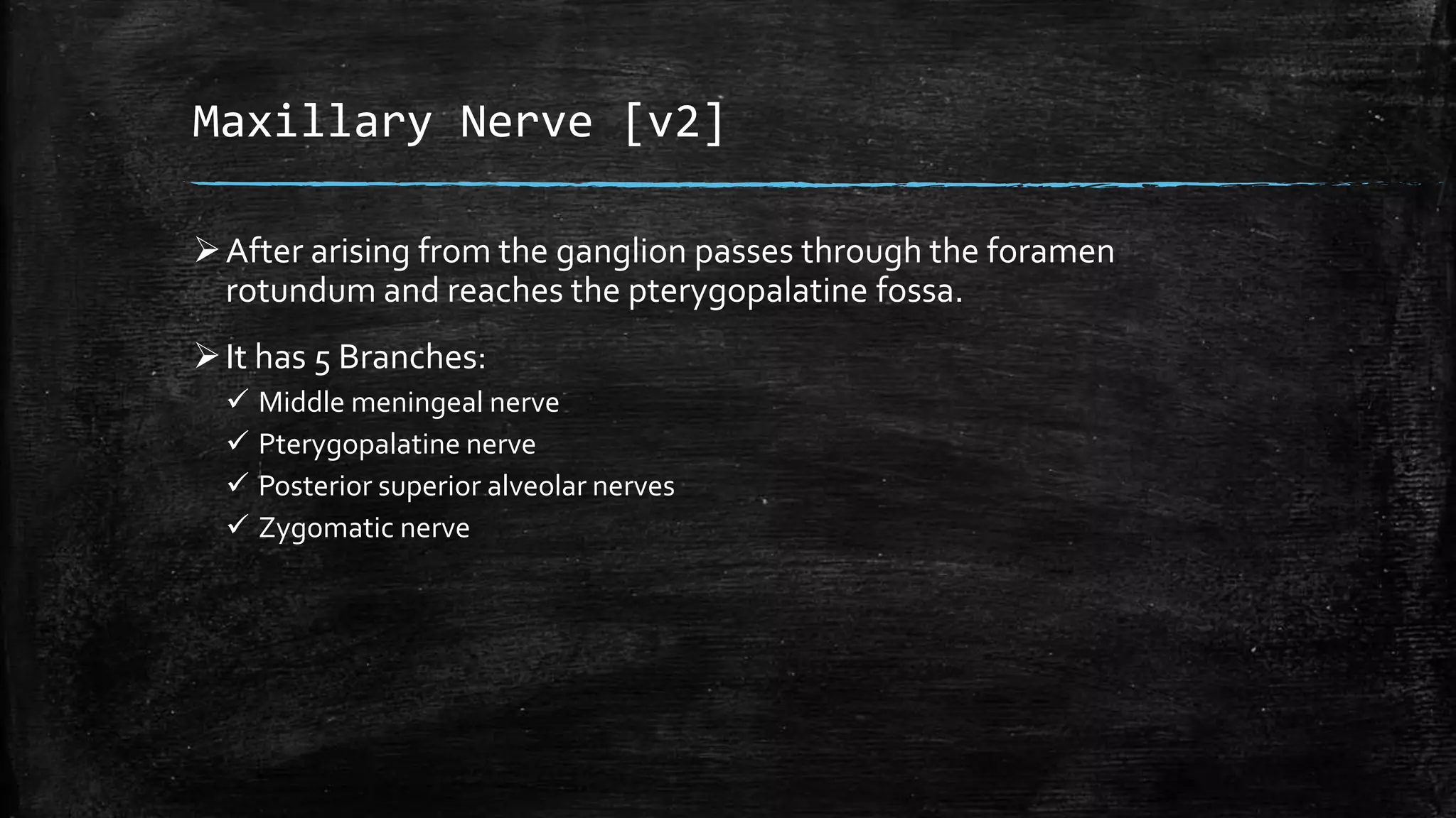 Trigeminal nerve | PPT
