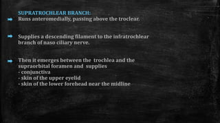 Trigeminal nerve | PPTX