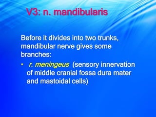 Trigeminal nerve | PPSX