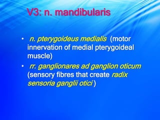 Trigeminal nerve | PPSX