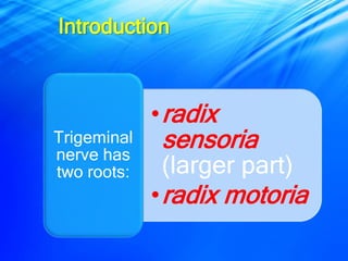 Trigeminal nerve | PPSX