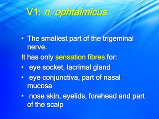 Trigeminal nerve | PPSX