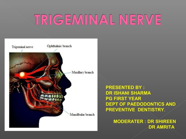 Trigeminal nerve - max and opthalmic div | PPT