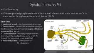 Trigeminal nerve | PPTX