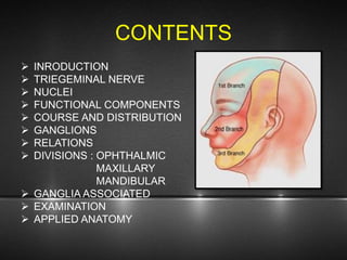 Trigeminal Nerve Function