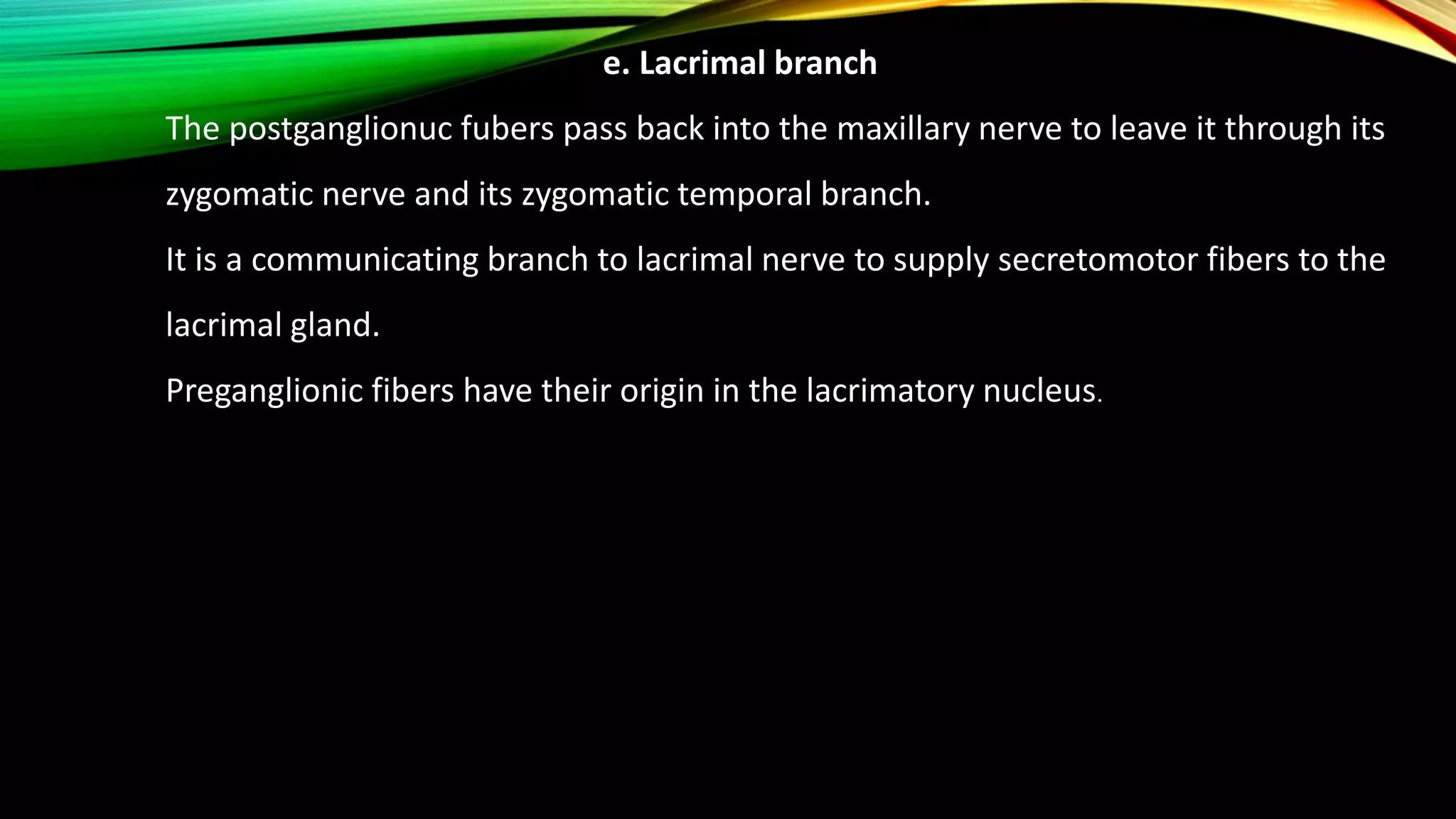 Trigeminal Nerve | PPTX