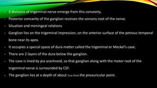 Trigeminal Nerve | PPTX