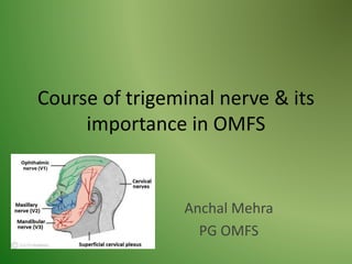 Trigeminal nerve | PPT