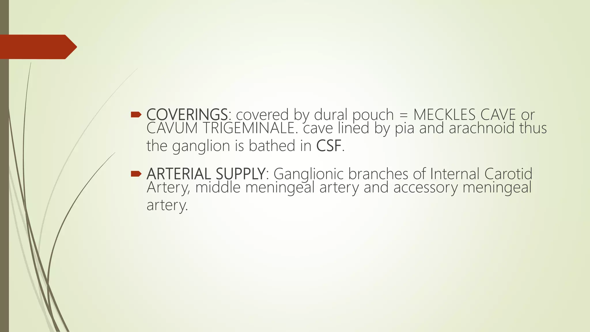 Trigeminal nerve | PPTX