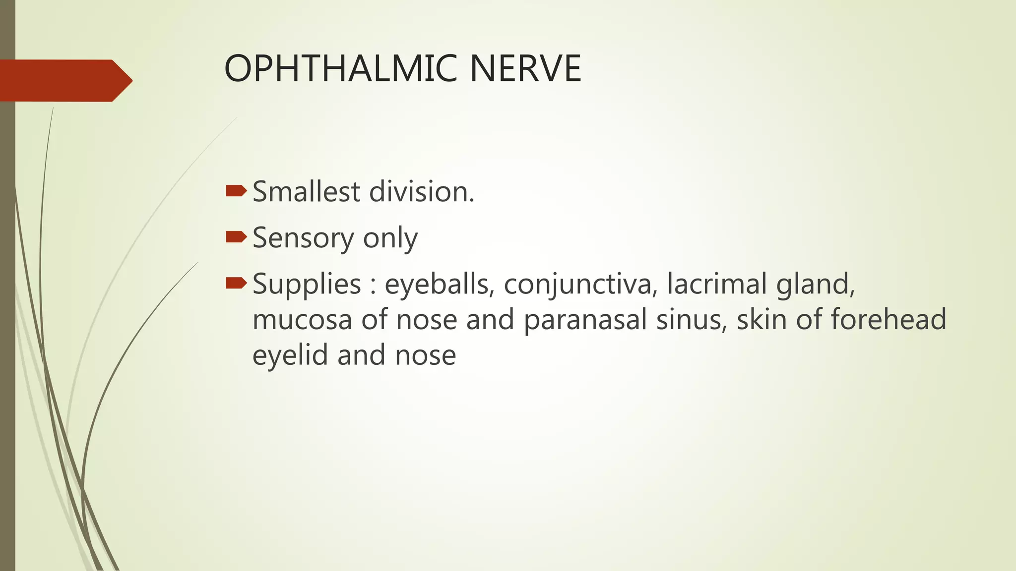 Trigeminal nerve | PPTX