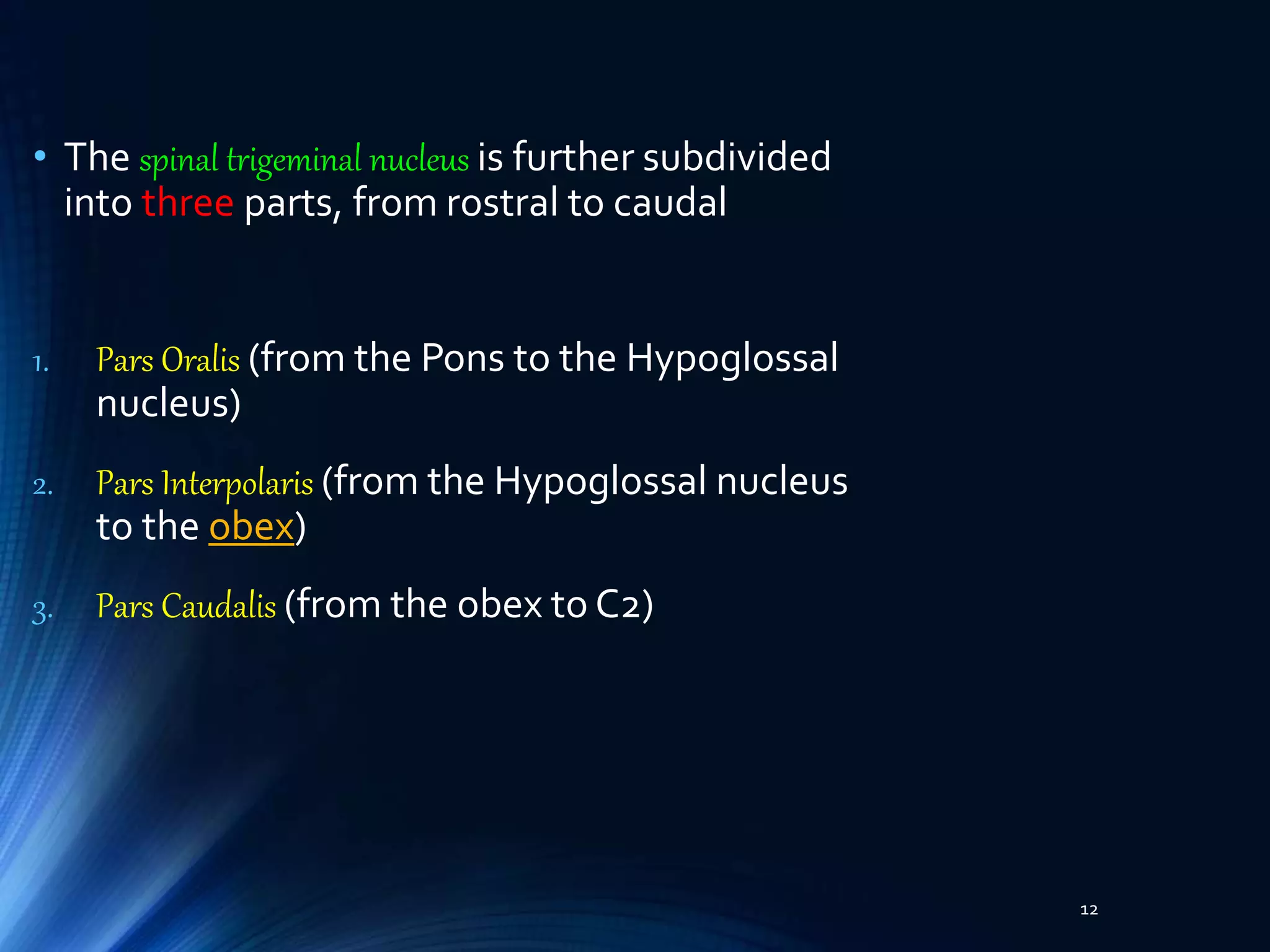 Trigeminal nerve | PPTX