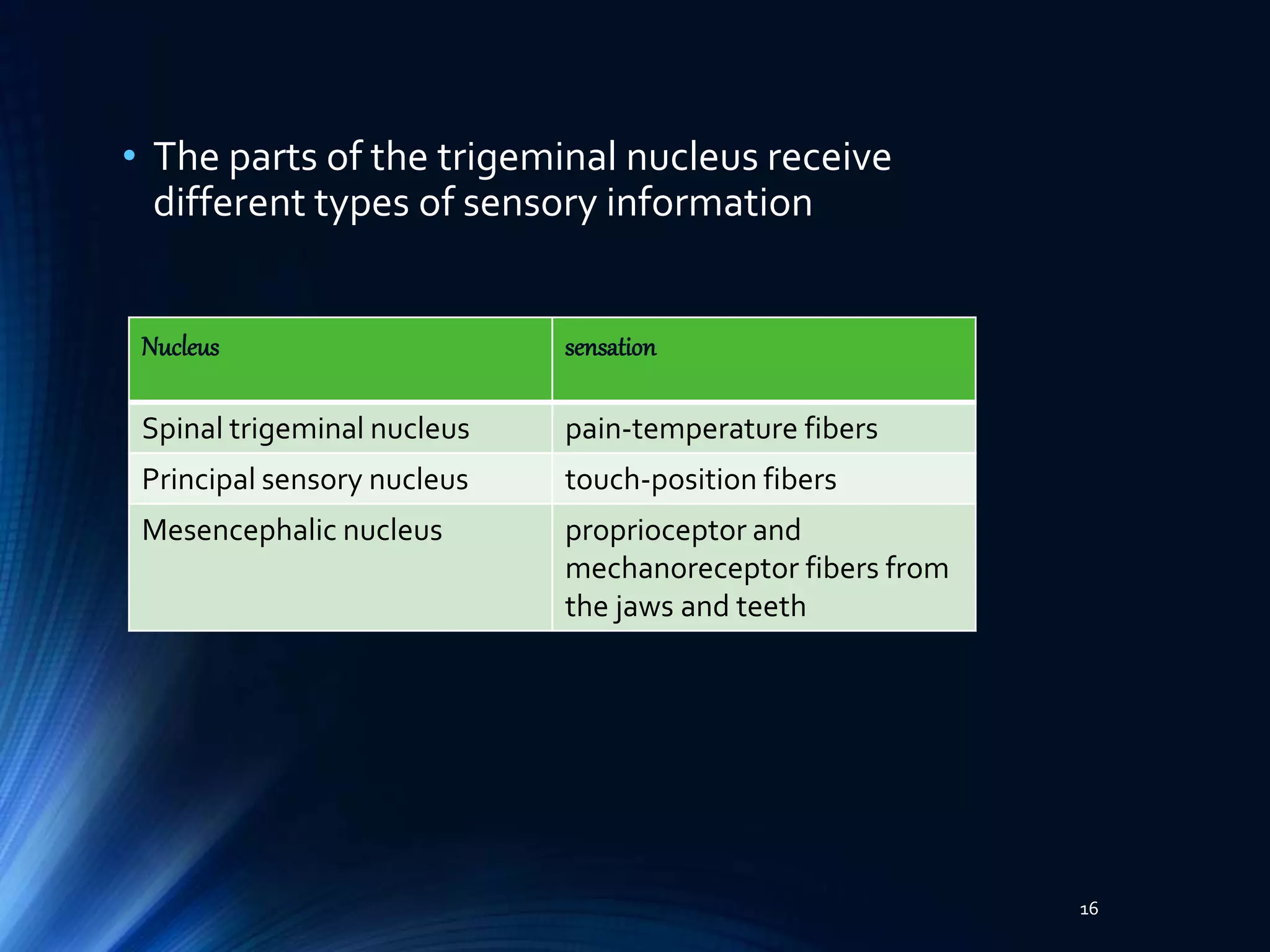 Trigeminal nerve | PPTX