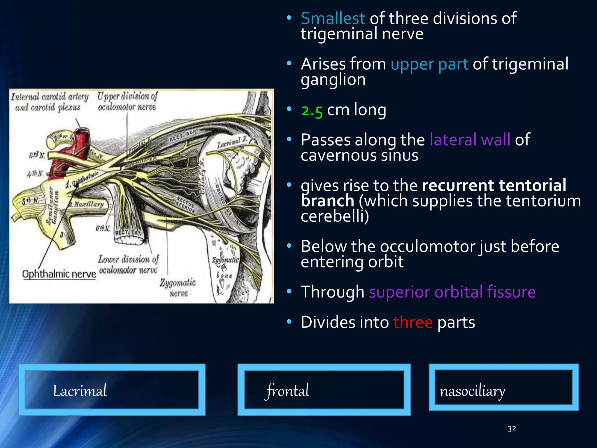 Trigeminal nerve | PPTX