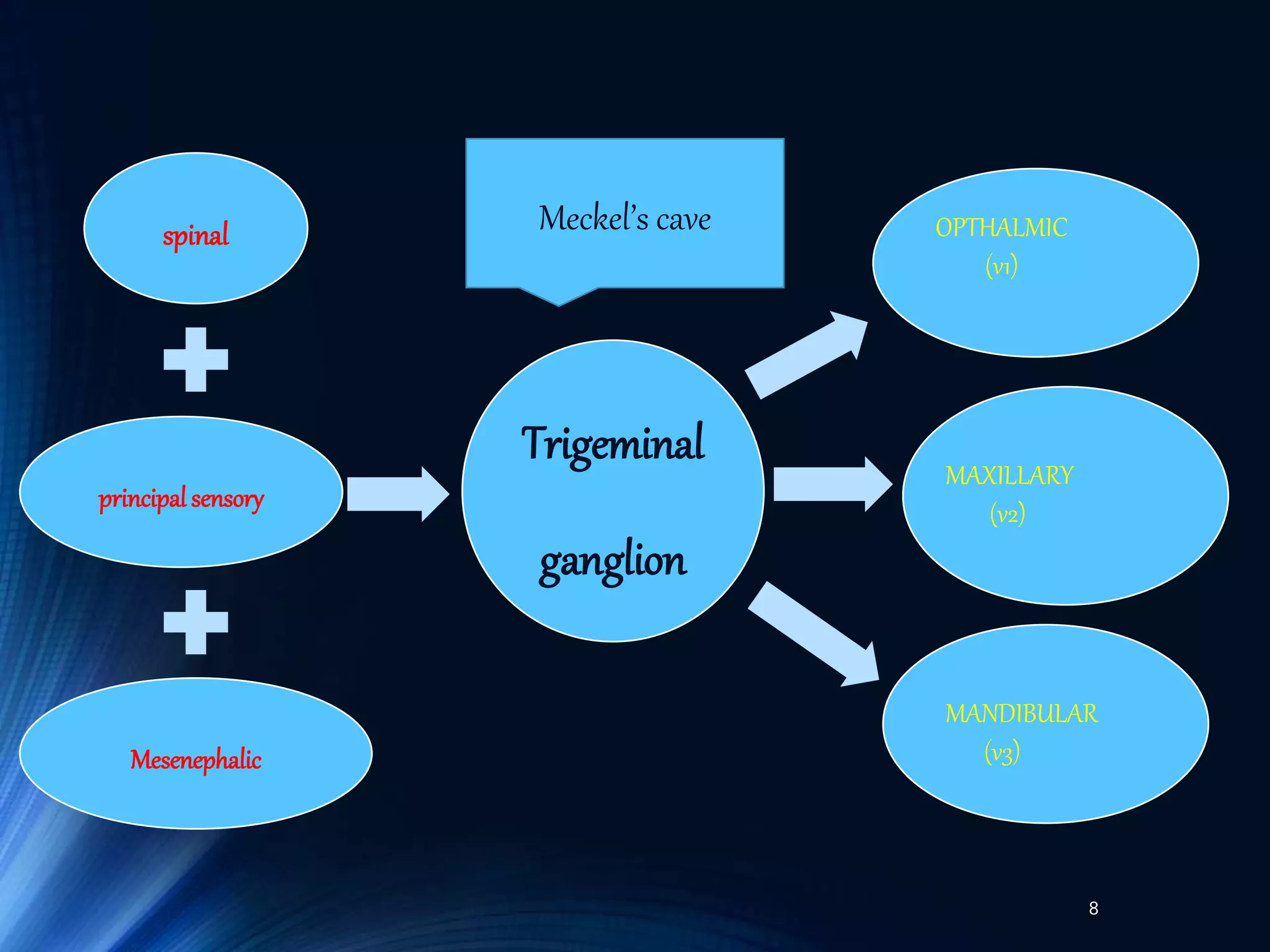 Trigeminal nerve | PPTX