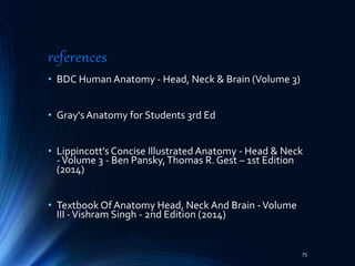 Trigeminal nerve | PPTX