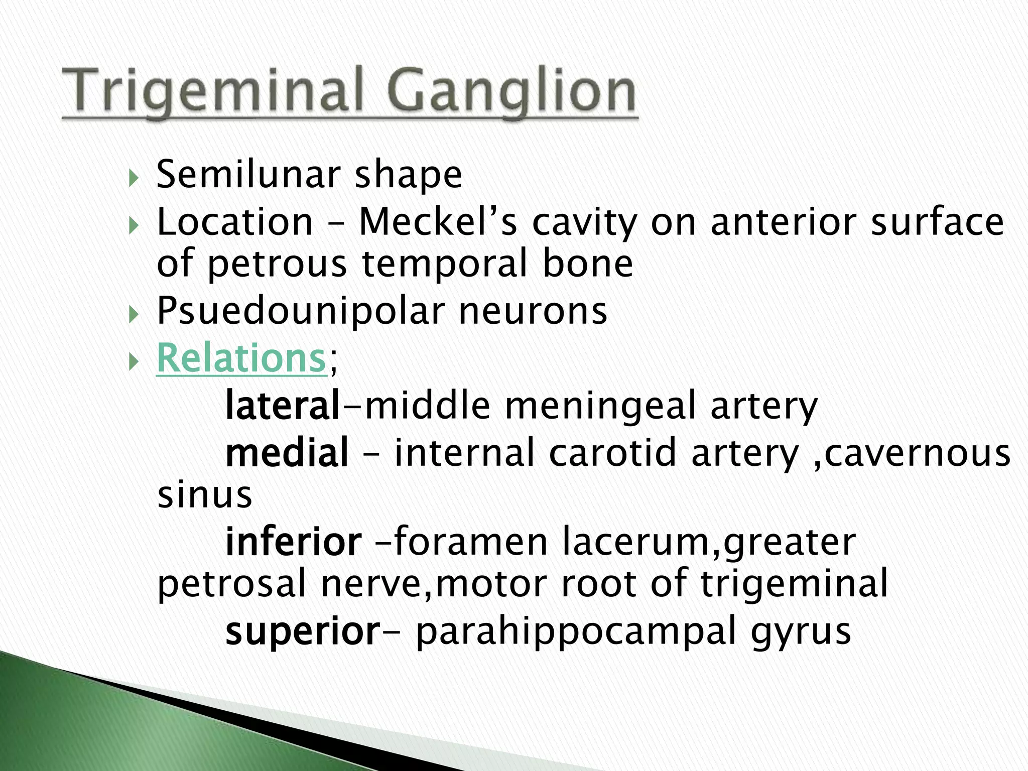 Trigeminal Nerve | PPTX