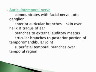 Trigeminal Nerve | PPTX