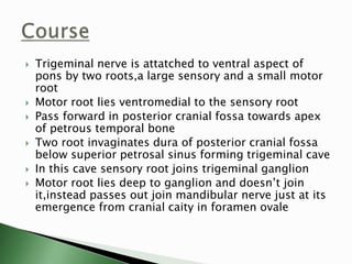 Trigeminal Nerve | PPTX