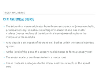 Trigeminal nerve | PPT