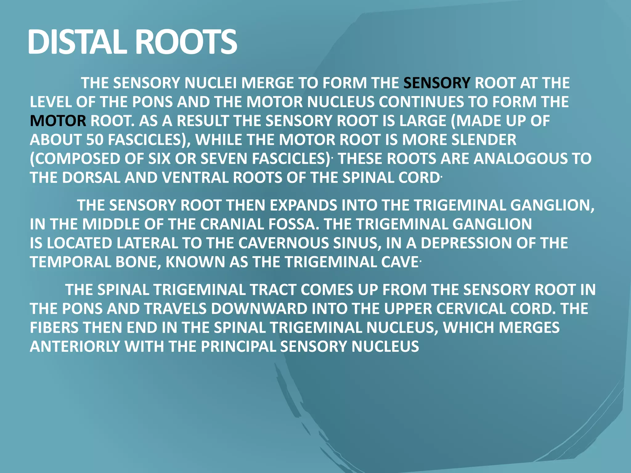 Trigeminal nerve | PPTX