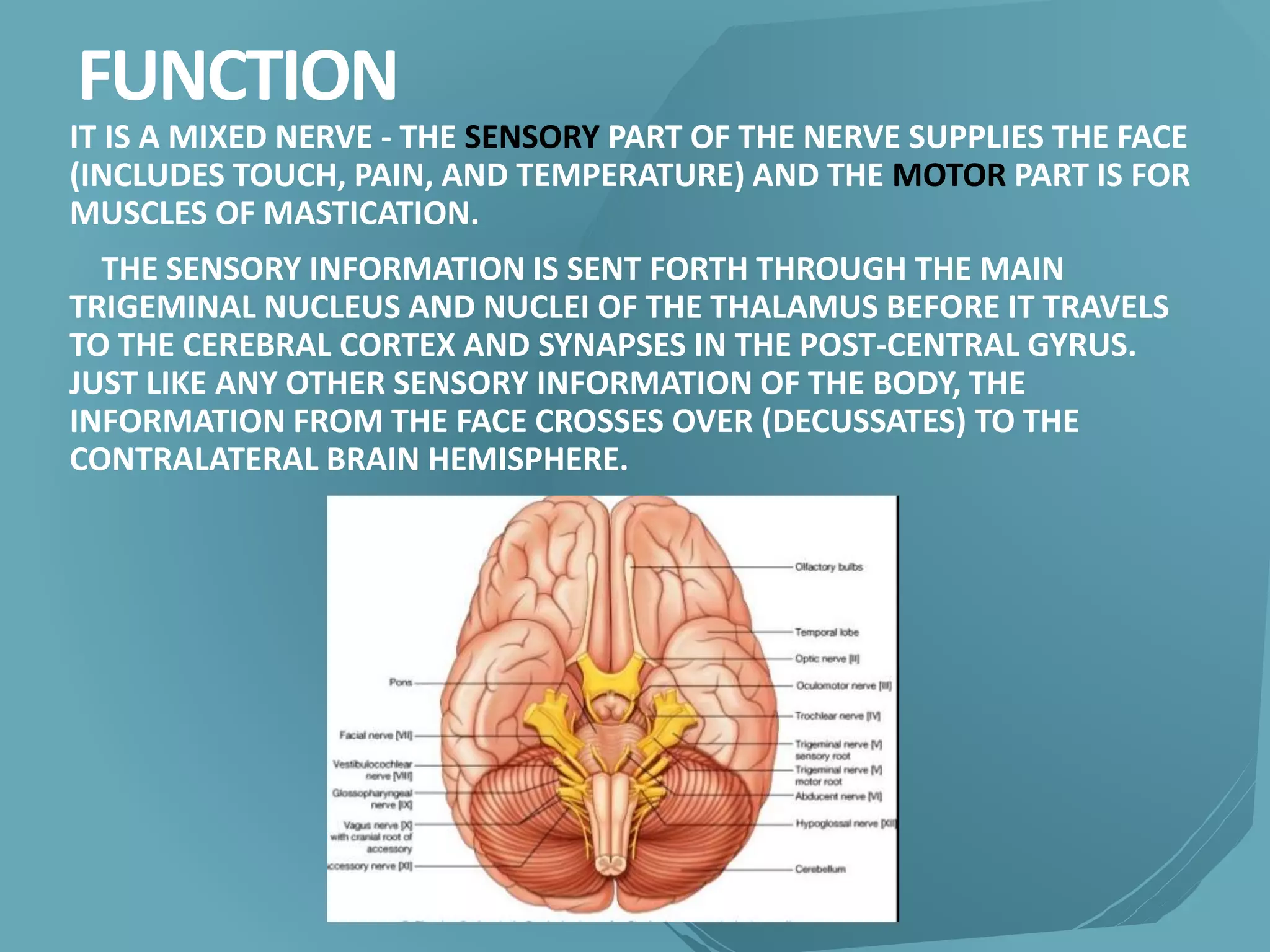 Trigeminal nerve | PPTX