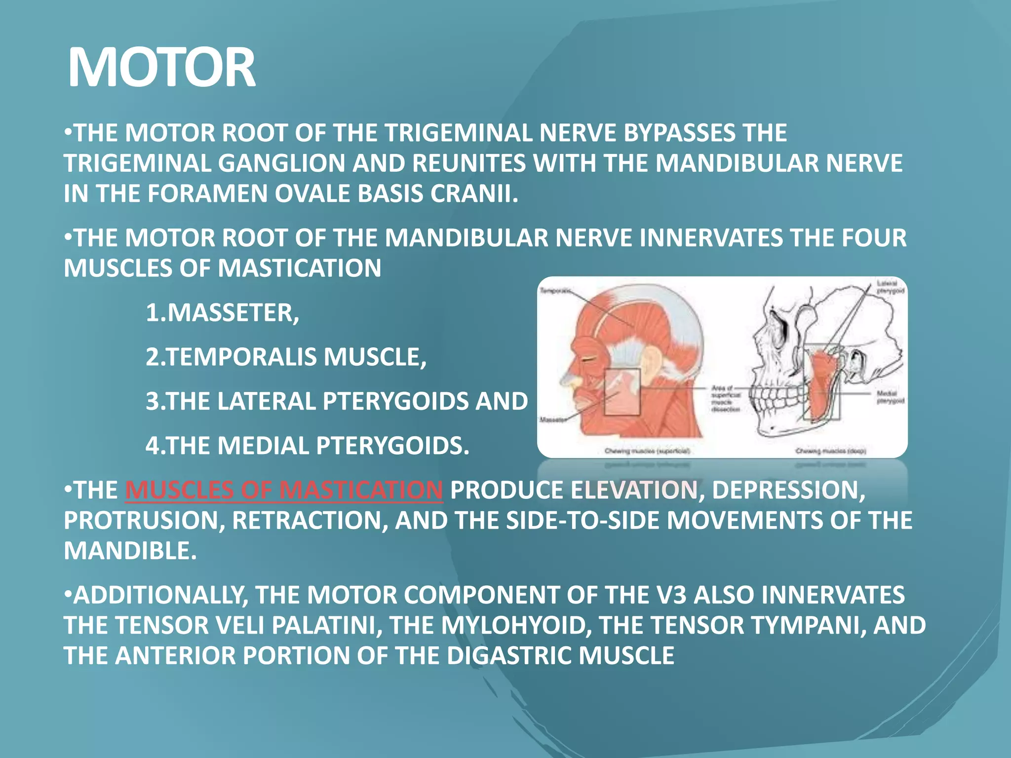 Trigeminal nerve | PPTX