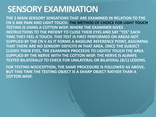 Trigeminal nerve | PPT