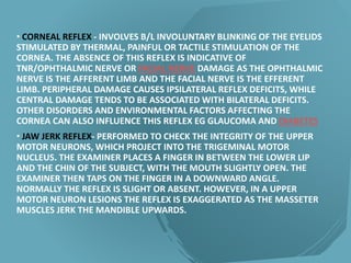 Trigeminal nerve | PPT
