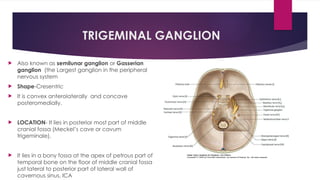 trigeminalnerve-220217151654.dkjnvdjpptx | PPTX