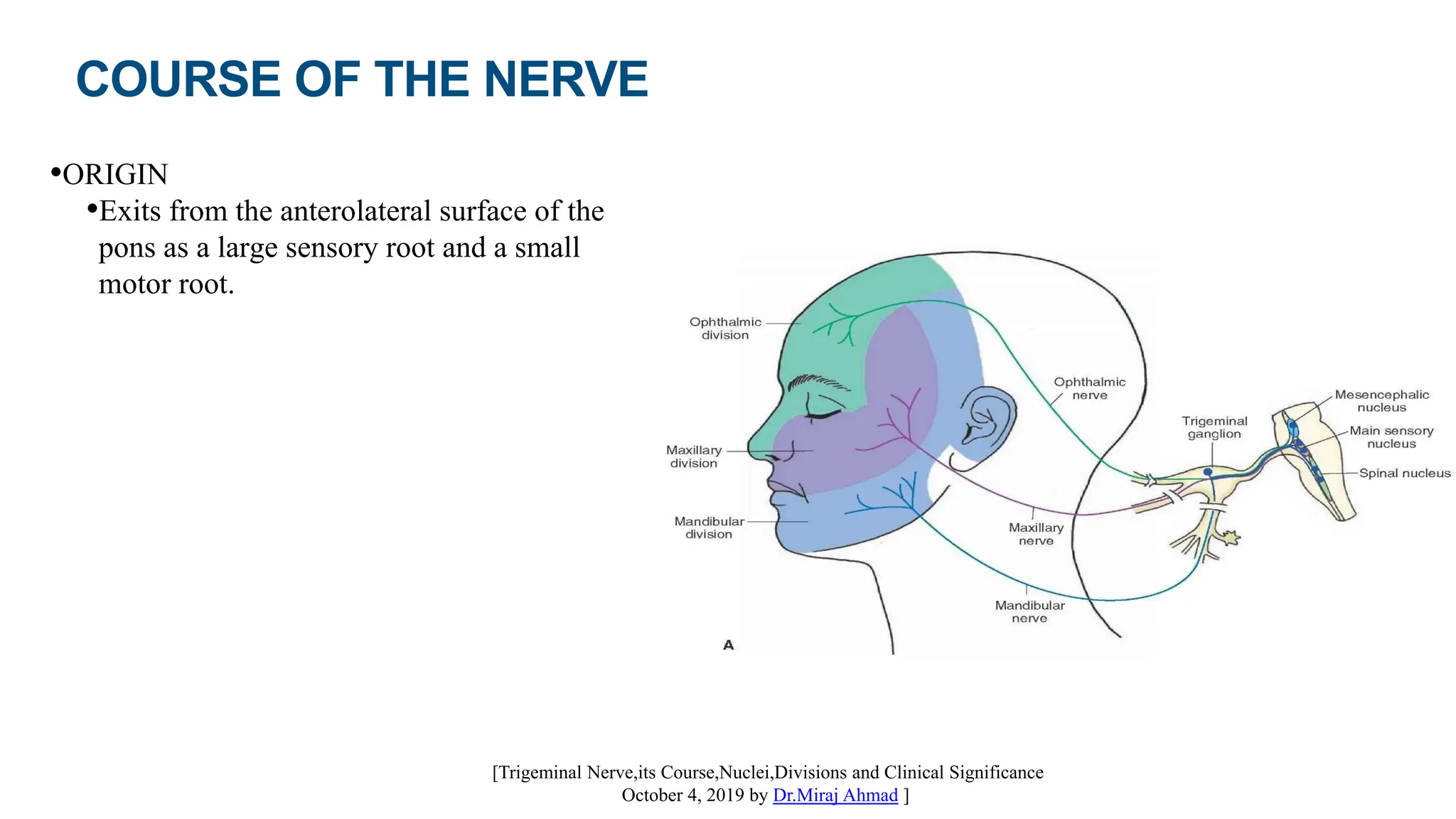Trigeminal Nerve and Applied Anatomy.ppt