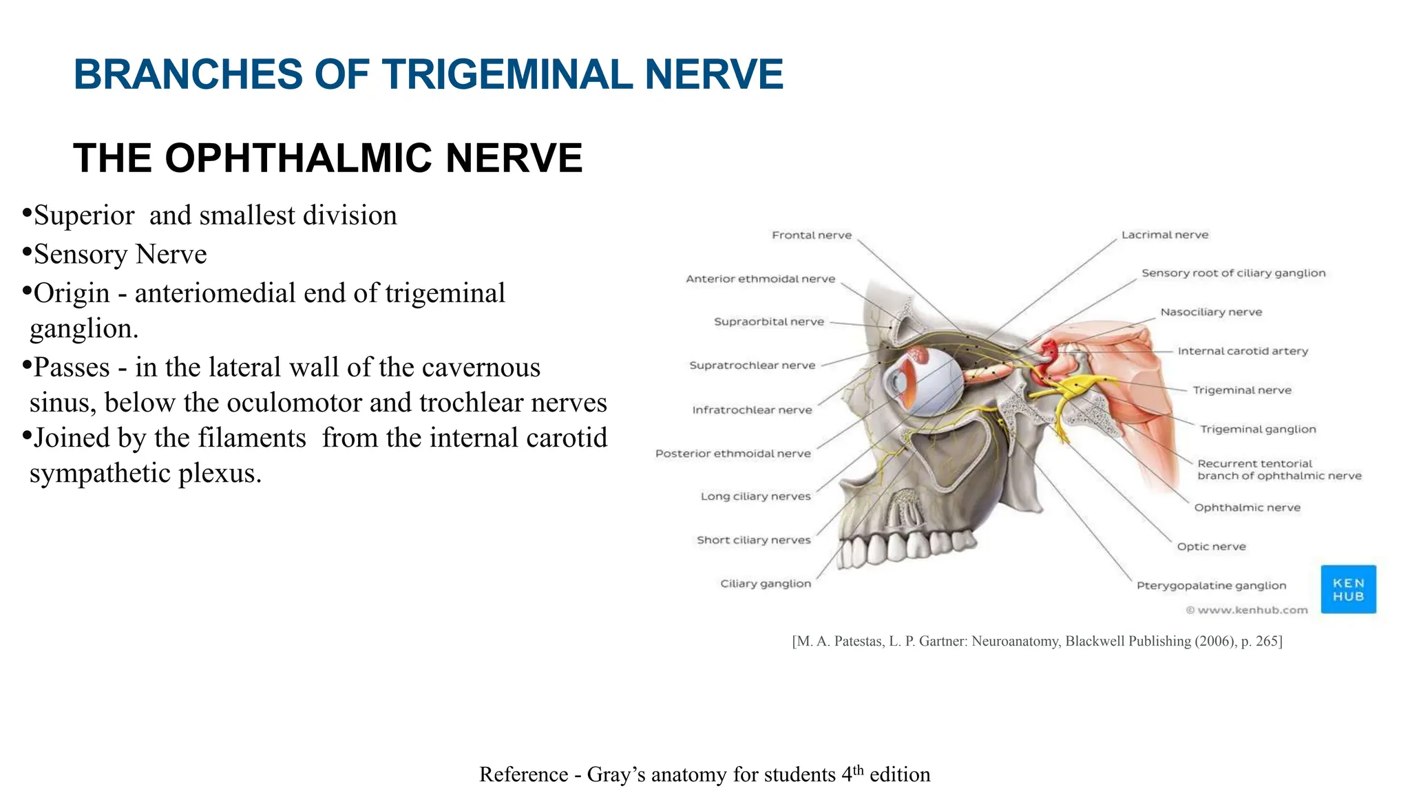 Trigeminal Nerve and Applied Anatomy.ppt