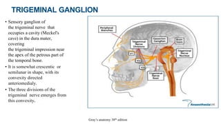 Trigeminal Nerve and Applied Anatomy.ppt