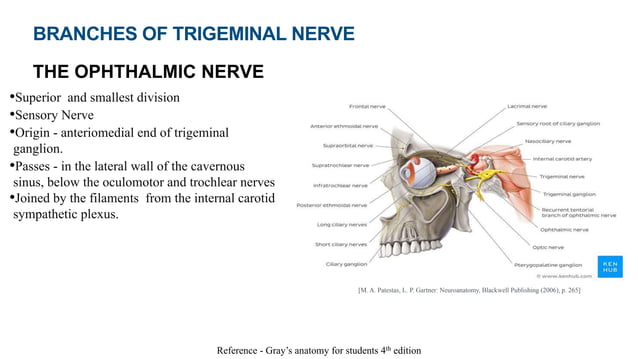Trigeminal Nerve and Applied Anatomy.ppt