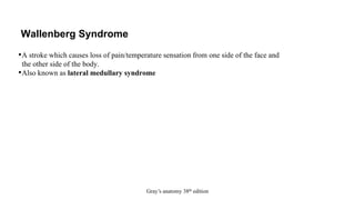 Trigeminal Nerve and Applied Anatomy.ppt