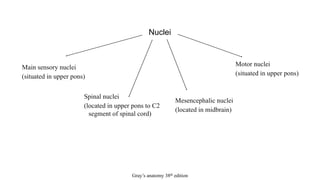 Trigeminal Nerve and Applied Anatomy.ppt