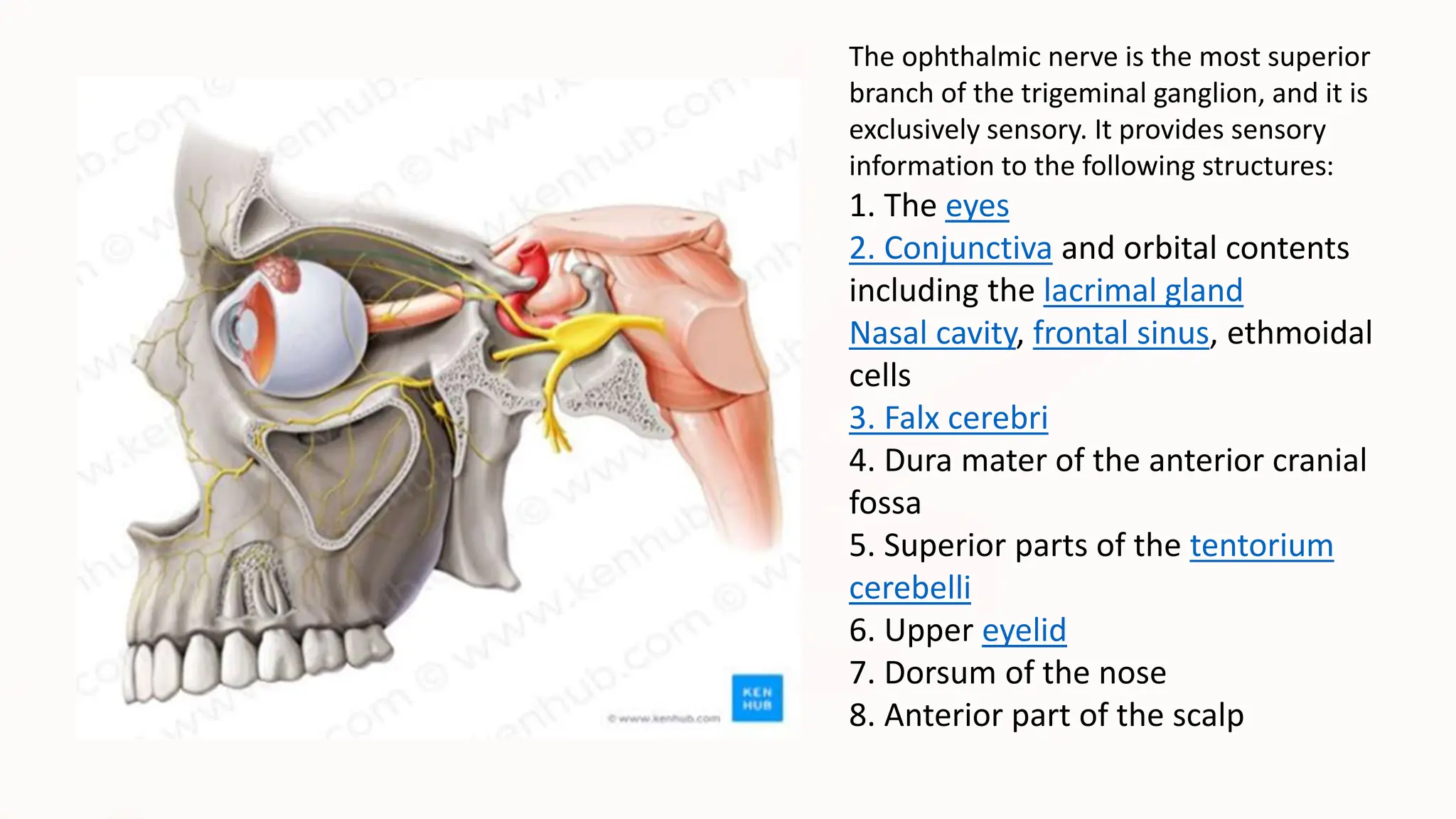anatomy of trigeminal nerve.pptx by dr. payal | PPTX