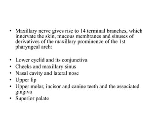 TRIGEMINAL NERVE and its course intracranially.pptx