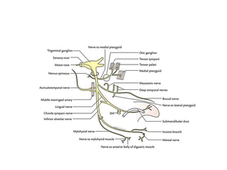TRIGEMINAL NERVE and its course intracranially.pptx