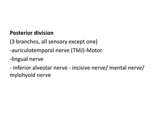 TRIGEMINAL NERVE and its course intracranially.pptx