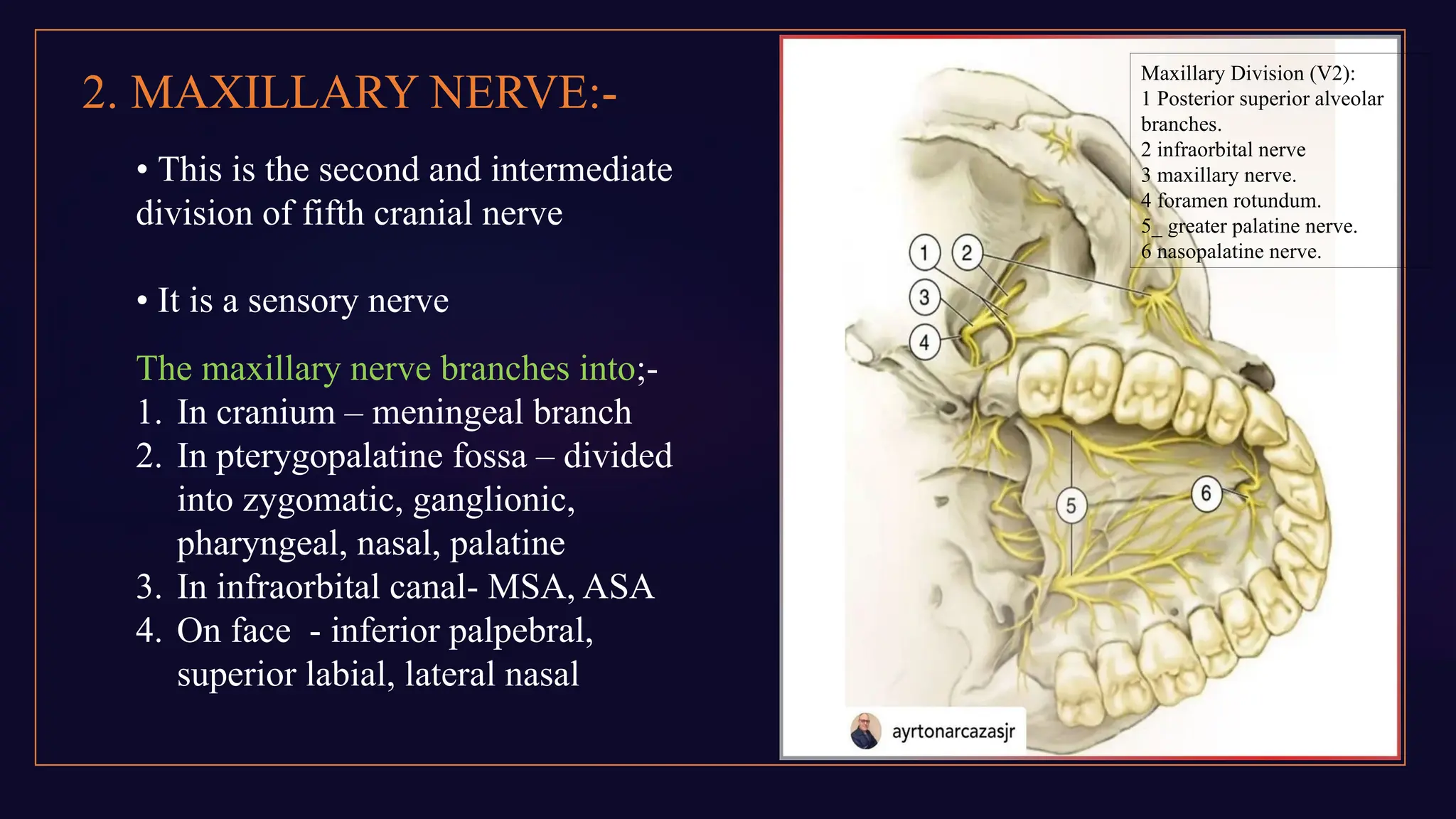 trigeminal nerve and its prosthodontics consideration.pptx