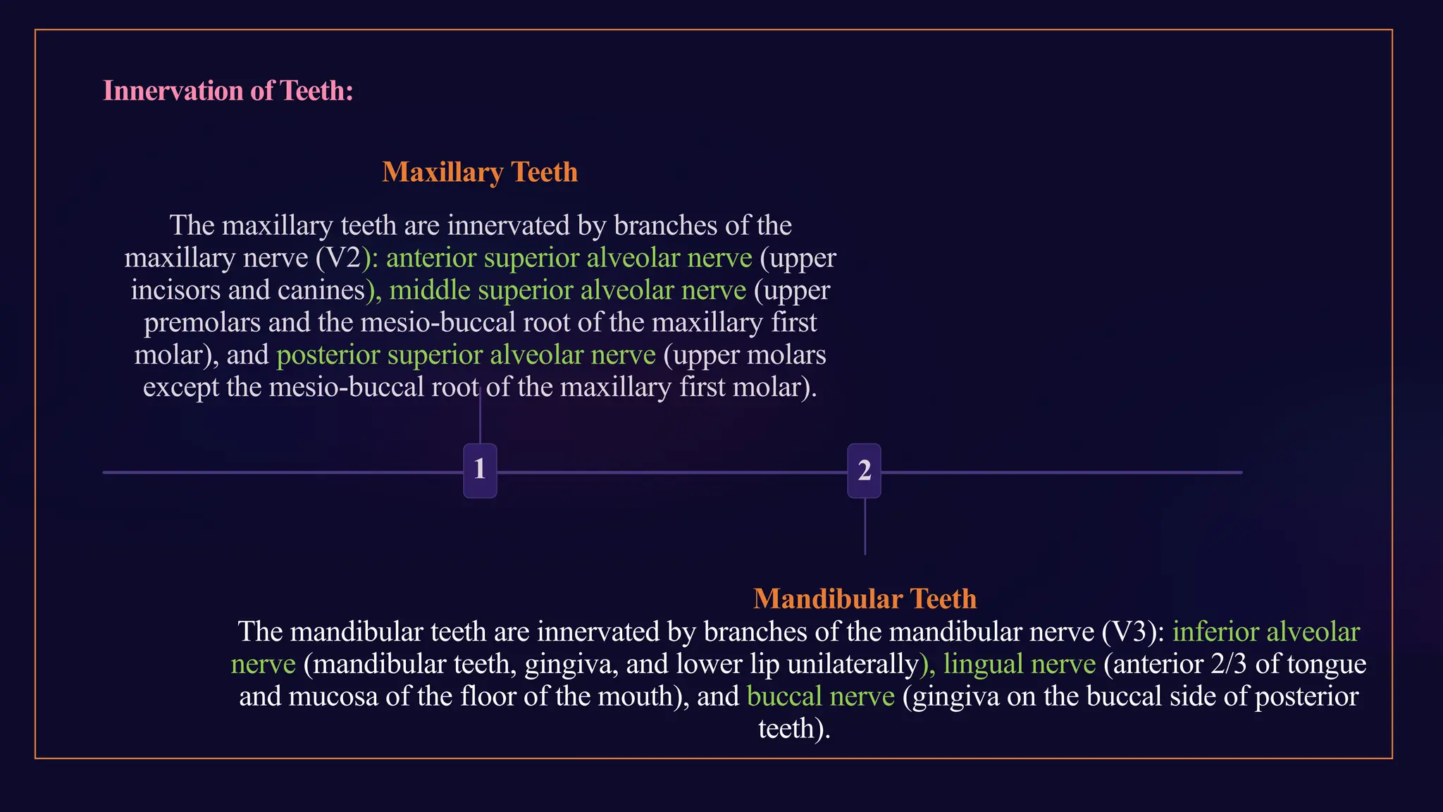 trigeminal nerve and its prosthodontics consideration.pptx