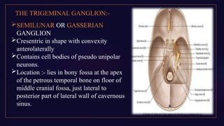 trigeminal nerve and its prosthodontics consideration.pptx