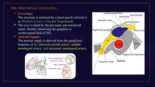 trigeminal nerve and its prosthodontics consideration.pptx