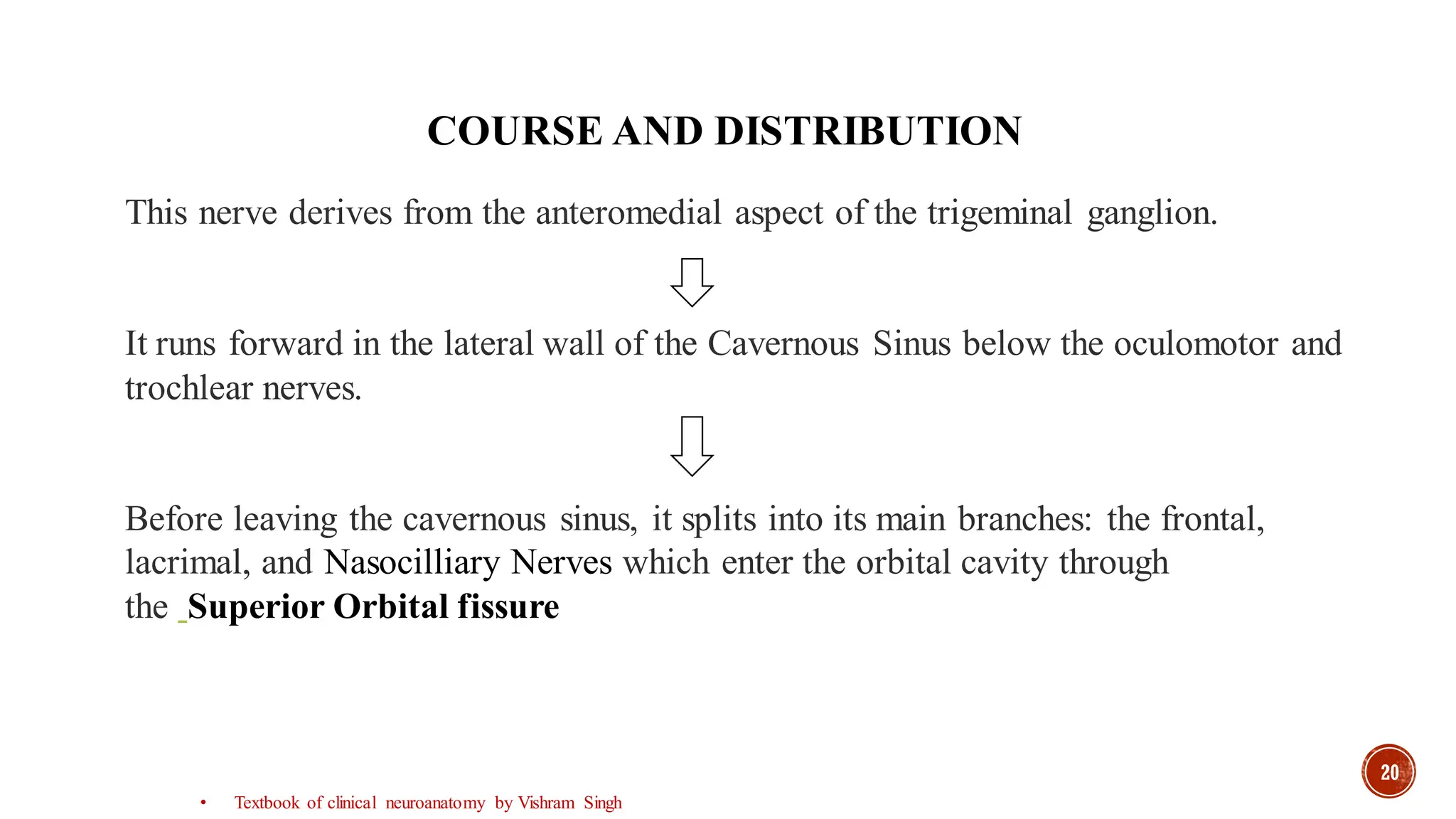 TRIGEMINAL NERVE/Neuralgia/5th cranial nerve | PPT